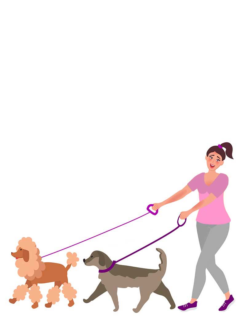 How Much Do People Charge For Dog Walking Uk